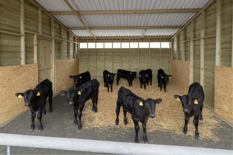 Mobile Stables | Custom Equine Shelters | Longcross Stables